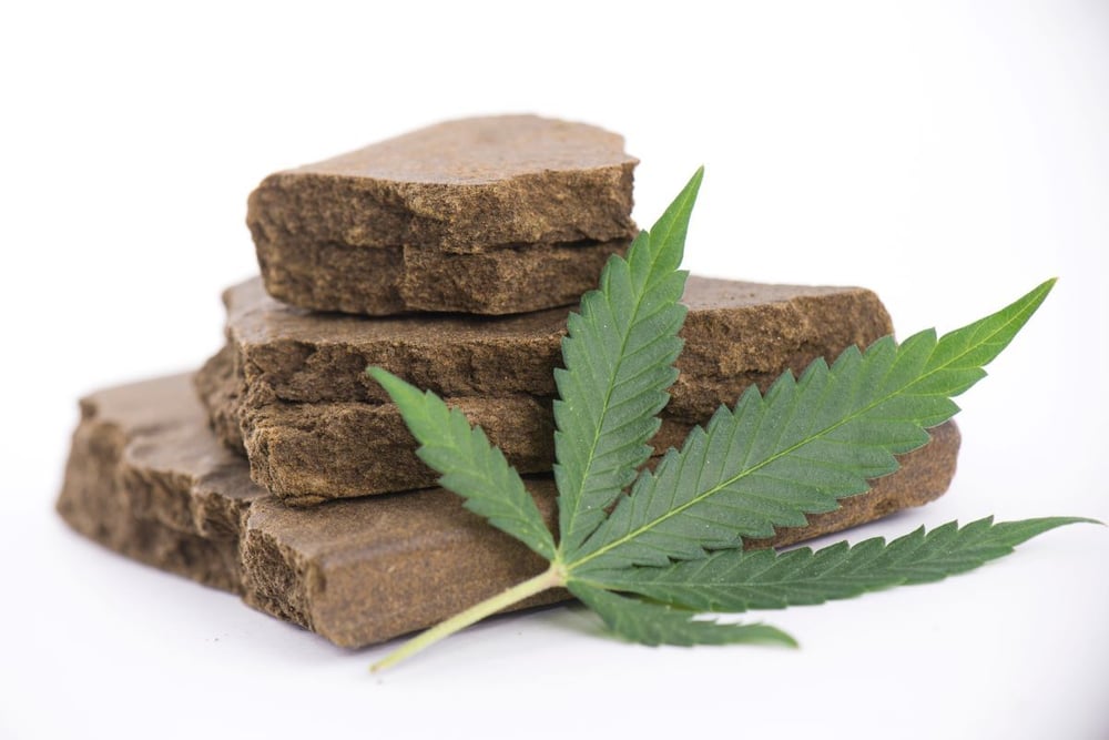 What Is Hash? Hashish VS Marijuana: Differences & Similarities